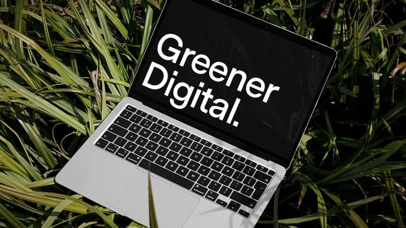 Greener Digital | Steve Edge Design