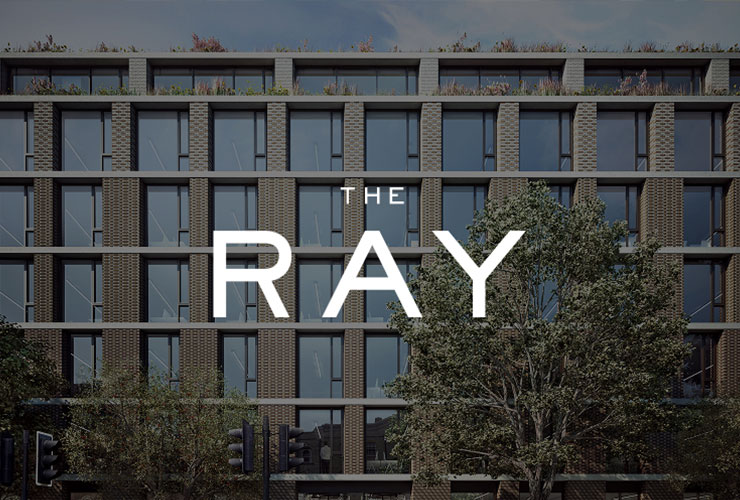 The Ray | Real Estate & Office Branding | Steve Edge Design